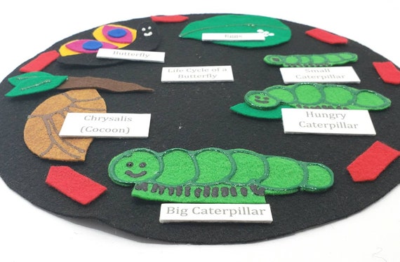 Butterfly Life Cycle Felt Board Life Cycle Felt Set | Etsy