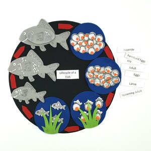 Fish Life Cycle, Fish Felt Set , Life Cycle Flannel Set, Fish Life ...