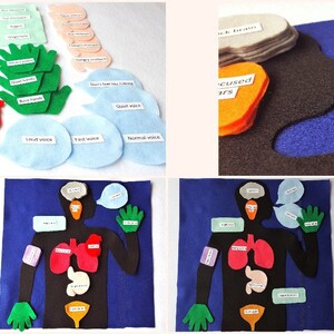 2 in 1 Felt Anatomy Set With Organs, Body Emotions and Sensations ...