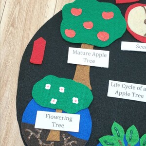 Apple Tree Life Cycle | Plant Life Cycle | Fruit Tree Felt Board | Felt ...