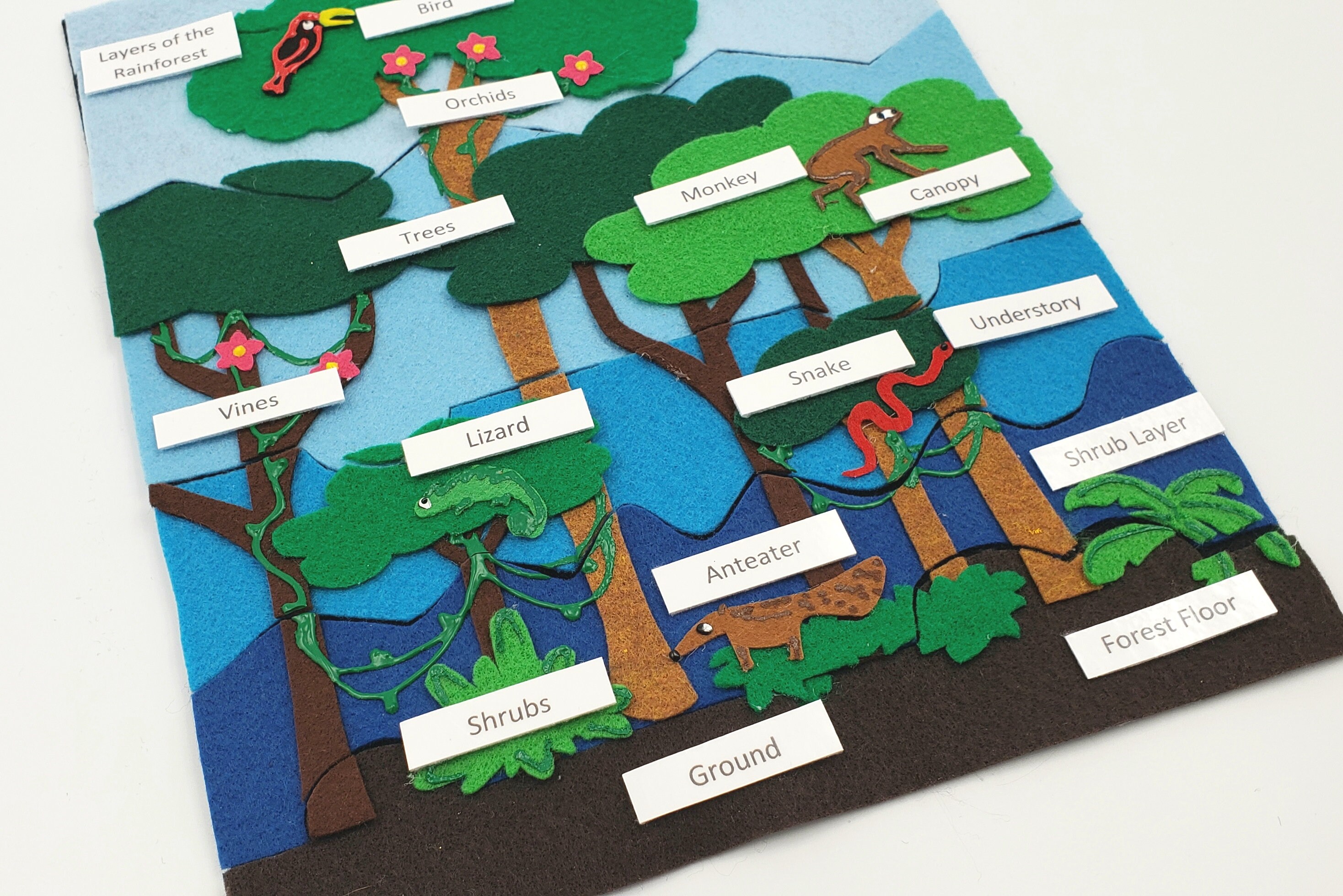 Rainforest Layers Felt Board: Homeschool Science Flannel Story - Etsy