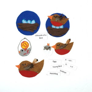 Robin Life Cycle | Robin Felt Set | Life Cycle Flannel Set | Bird Life ...