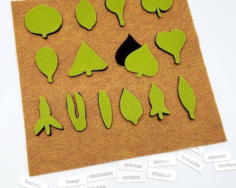Landforms Felt Board Set With Laminated Labels. Daycare ECE - Etsy Israel