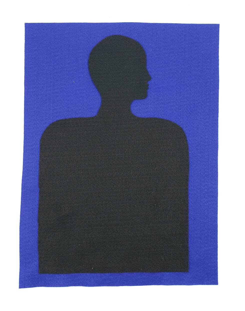 Felt Anatomy Set Human Organs Felt Set Body Parts Felt - Etsy UK