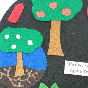 Apple Tree Life Cycle | Plant Life Cycle | Fruit Tree Felt Board | Felt ...
