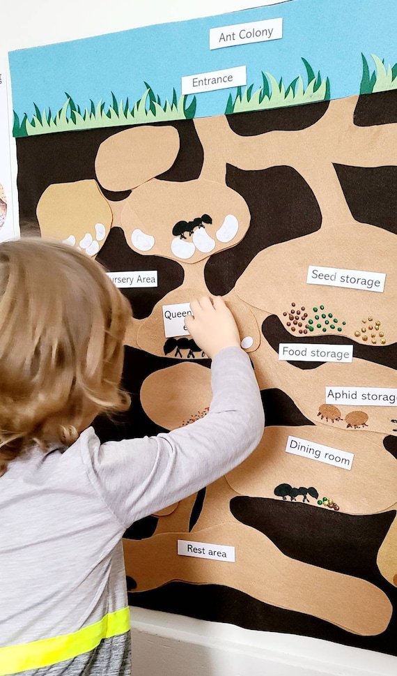 Learning & School Ant Colony Felt Board Set Wall sized felt Montessori ...