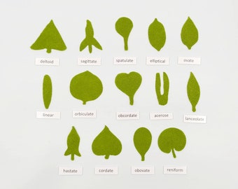Montessori Botany | Etsy