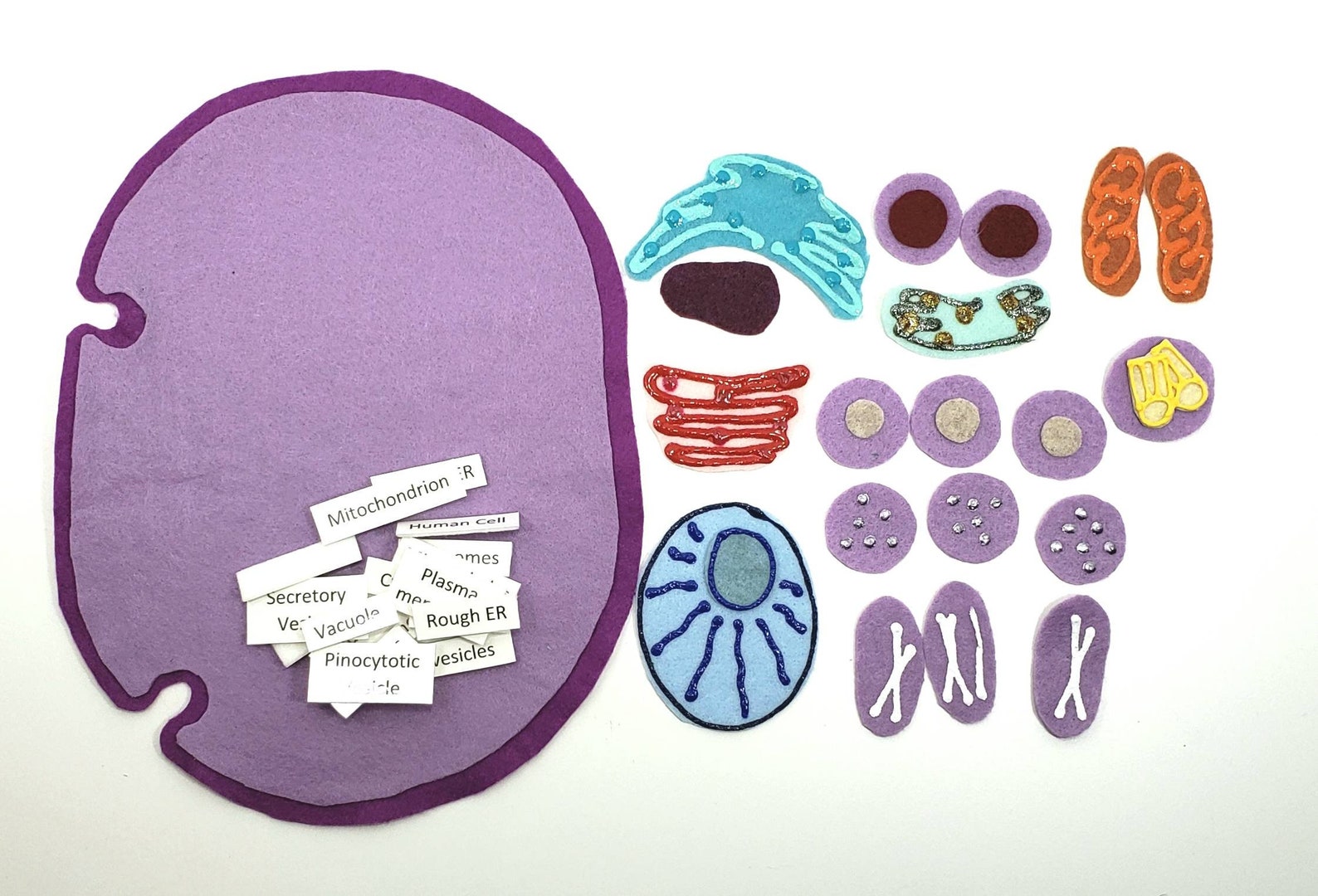 Human Cell Felt Board Human Cell Felt Set Human Cell | Etsy