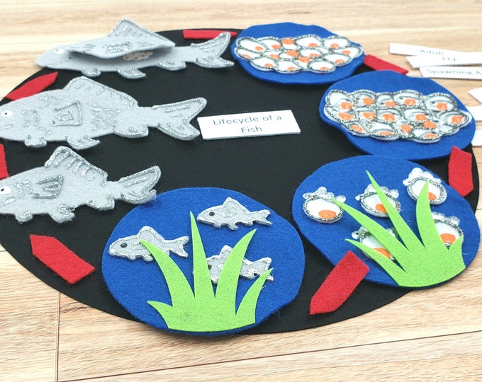Fish Life Cycle, Fish Felt Set , Life Cycle Flannel Set, Fish Life ...