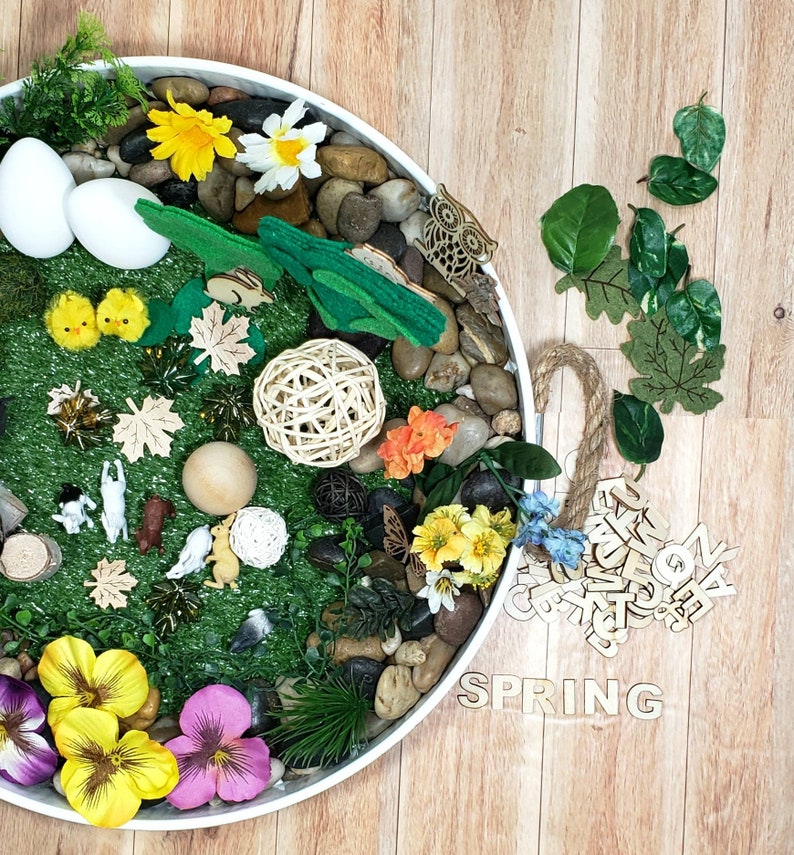Spring Sensory Bin Seasons Bin Spring Winter Thaw Bird | Etsy