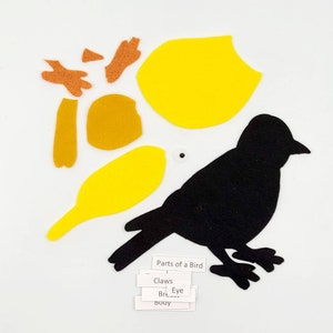 Felt Bird Puzzle | Montessori Bird Anatomy Felt Set - Etsy
