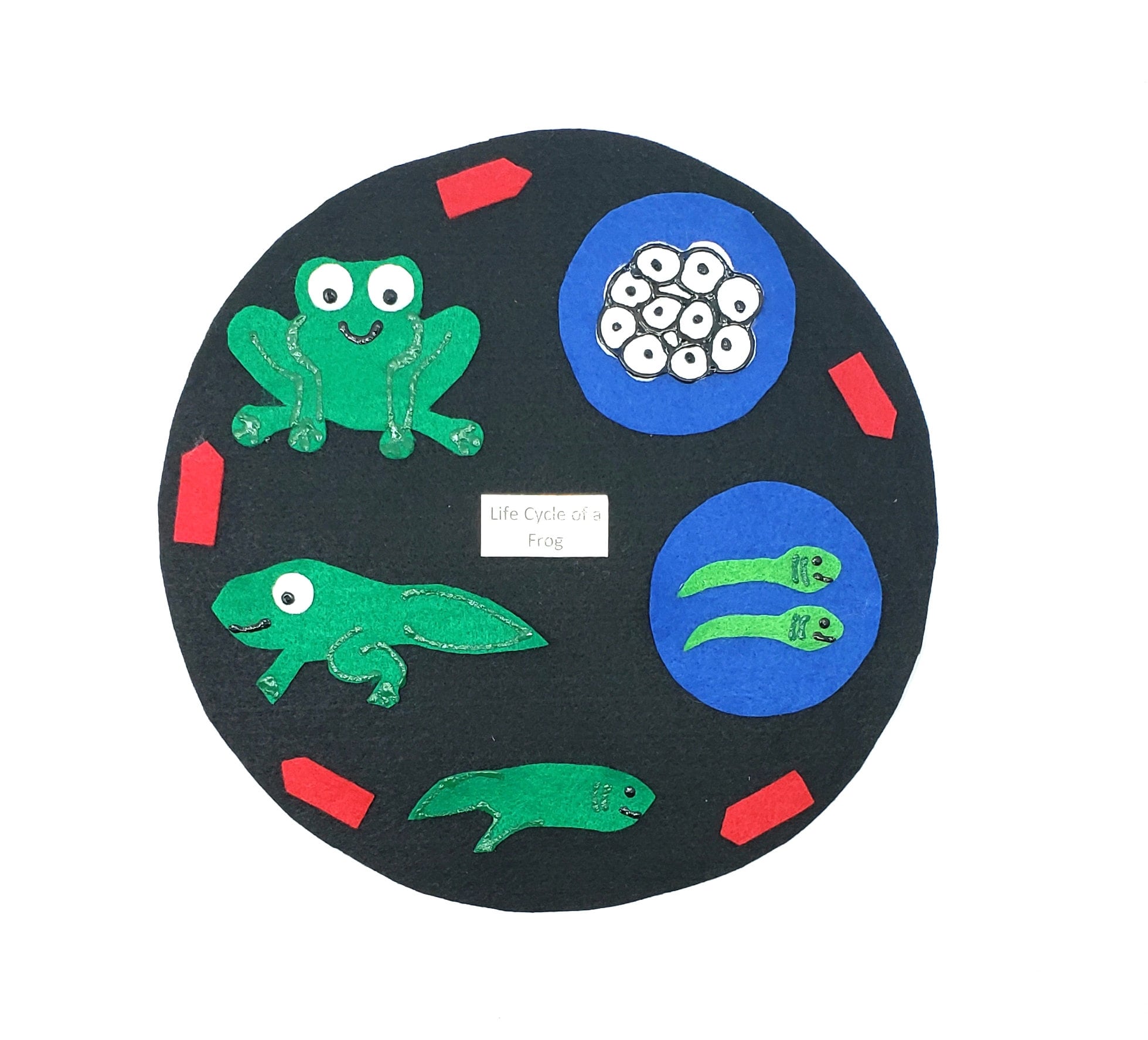 Frog Life Cycle Paper Plate Craft