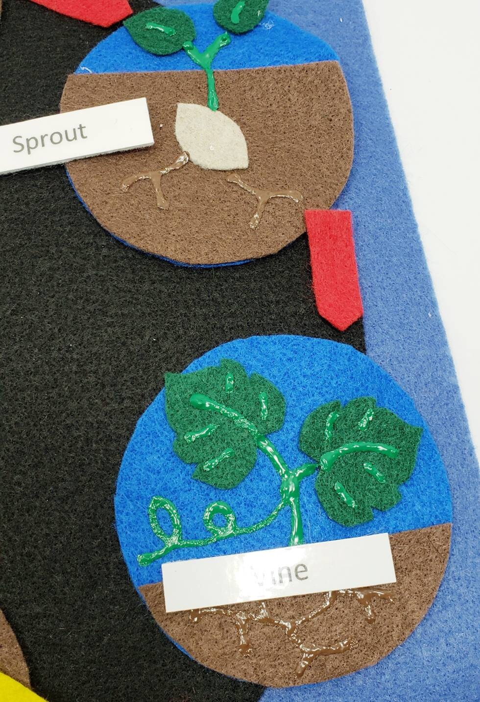 Pumpkin Life Cycle Felt Model Set: Homeschool Science - Etsy