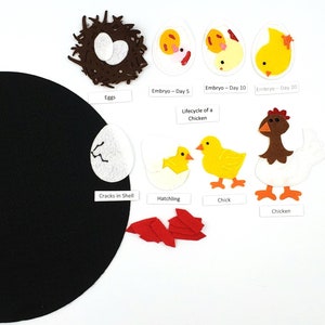 Chicken Life Cycle Felt Board Set: Homeschool Science - Etsy