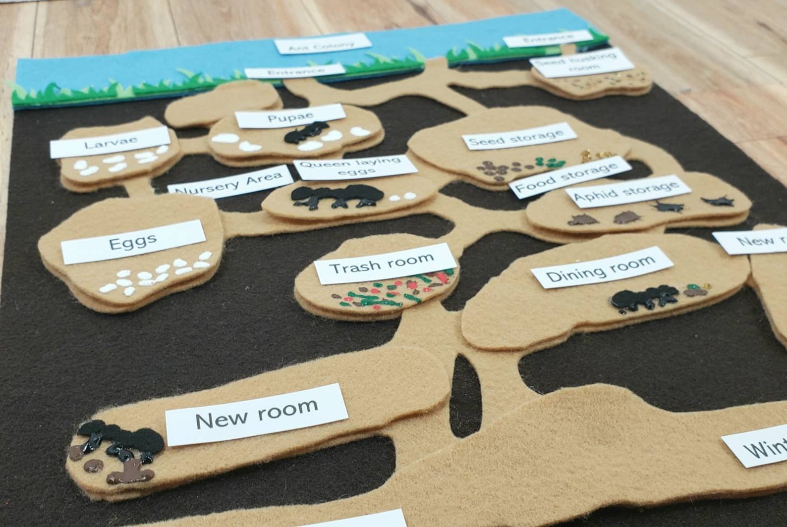 Ant Colony Felt Board Set Ant Habitat How Do Ants Live - Etsy Canada