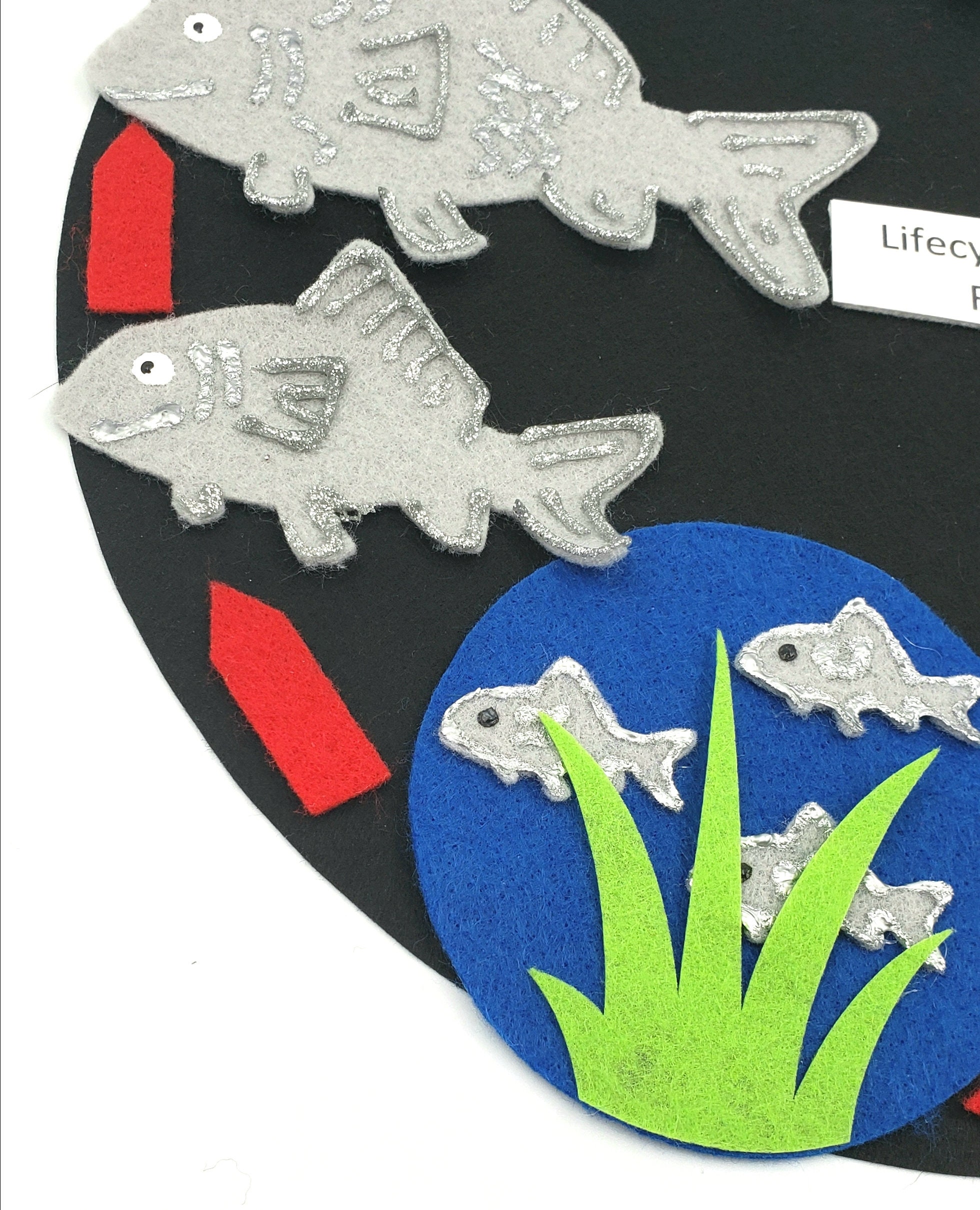 Toys & Games Learning & School Fish Felt Set Life Cycle Flannel Set ...