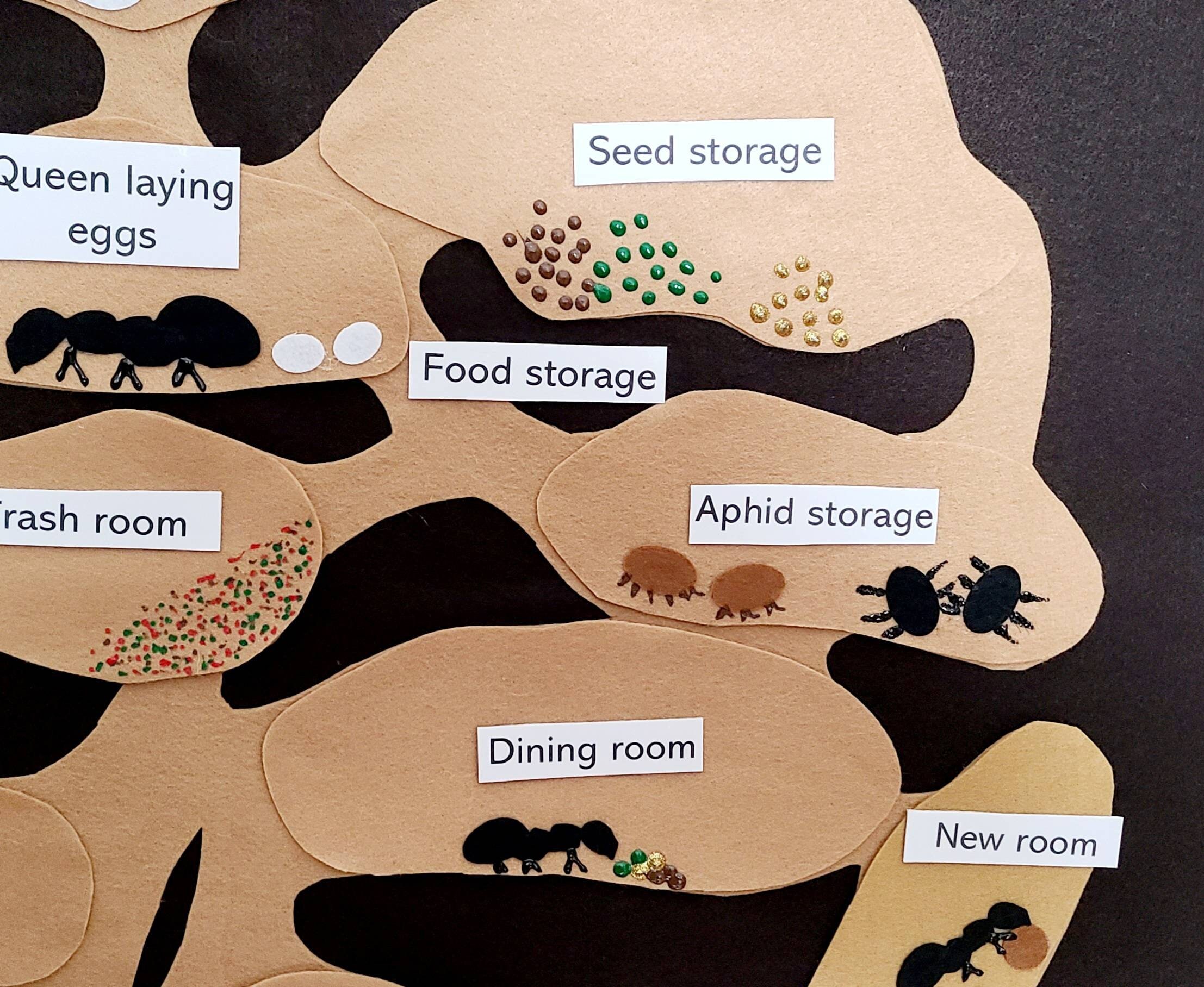 Learning & School Ant Colony Felt Board Set Wall sized felt Montessori ...