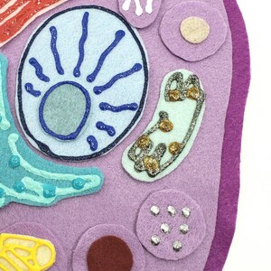Human Cell Felt Board Human Cell Felt Set Human Cell Montessori Science ...