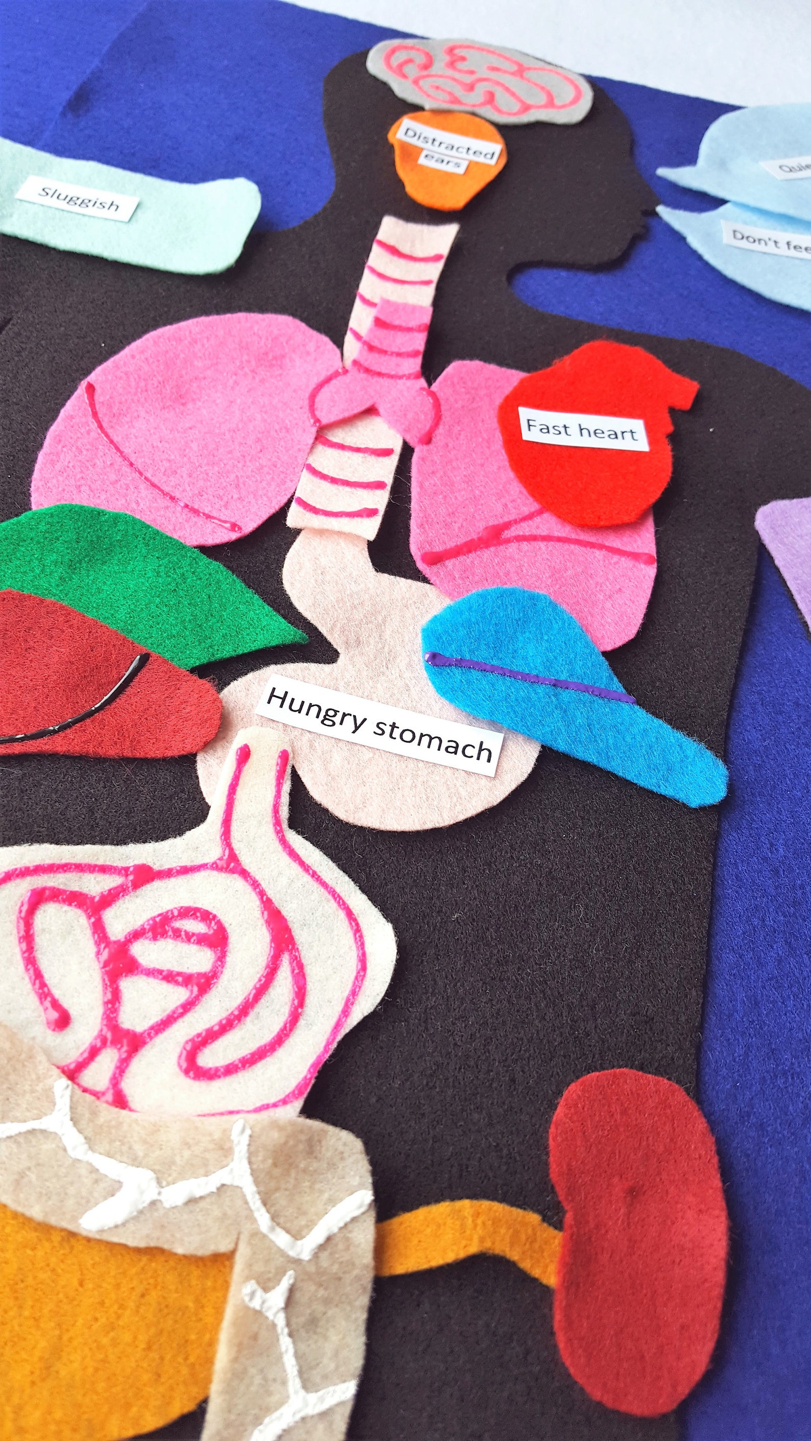 2 in 1 Felt Anatomy Set With Organs Body Emotions and - Etsy