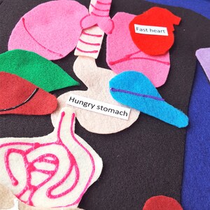 2 in 1 Felt Anatomy Set With Organs, Body Emotions and Sensations ...