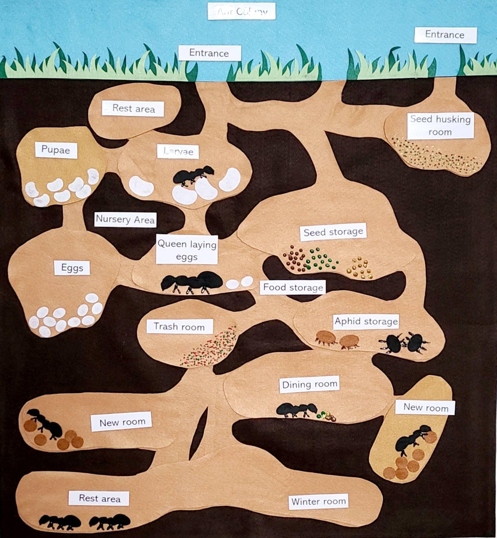 Ant Colony Diagram