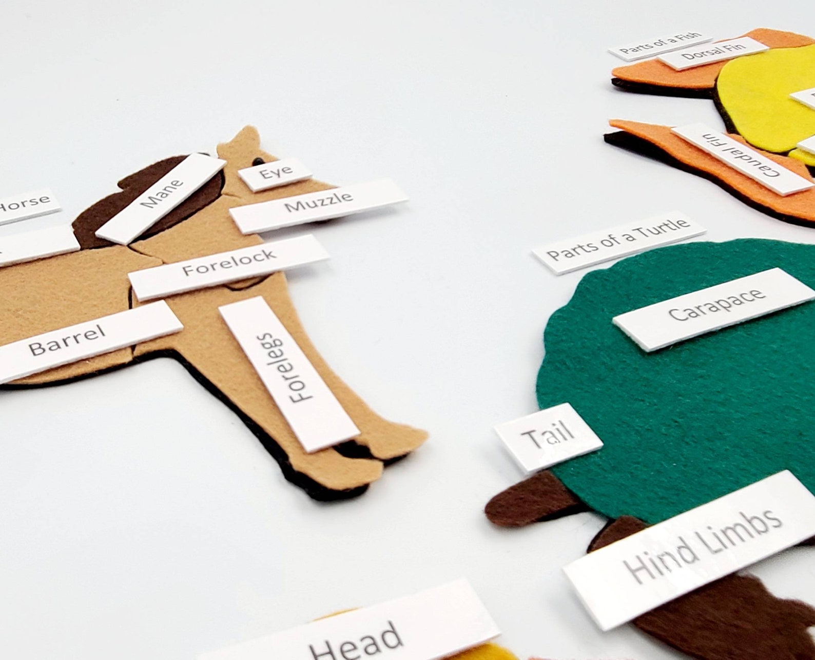 Felt Animal Puzzles Montessori Animal Anatomy Felt Set | Etsy