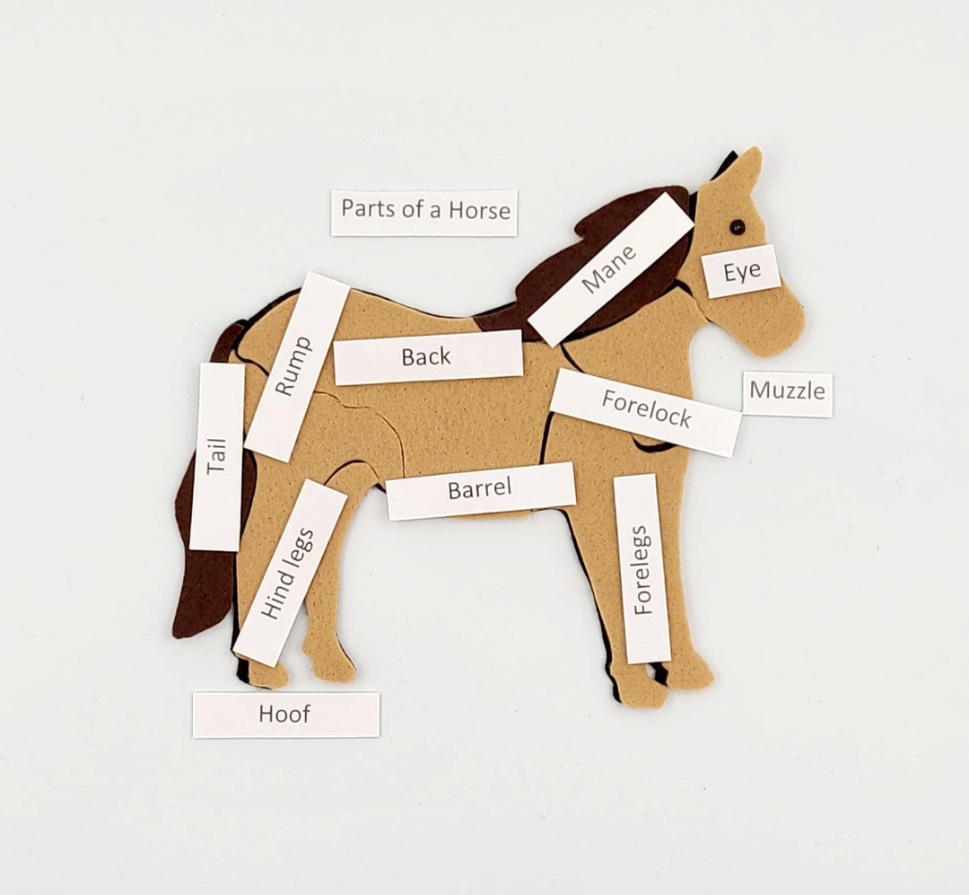 Felt Horse Puzzle | Montessory Horse Anatomy Felt Set - Etsy