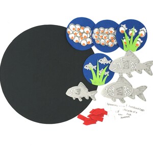 Fish Life Cycle, Fish Felt Set , Life Cycle Flannel Set, Fish Life ...