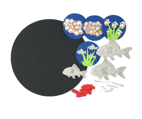 Toys & Games Learning & School Fish Felt Set Life Cycle Flannel Set ...