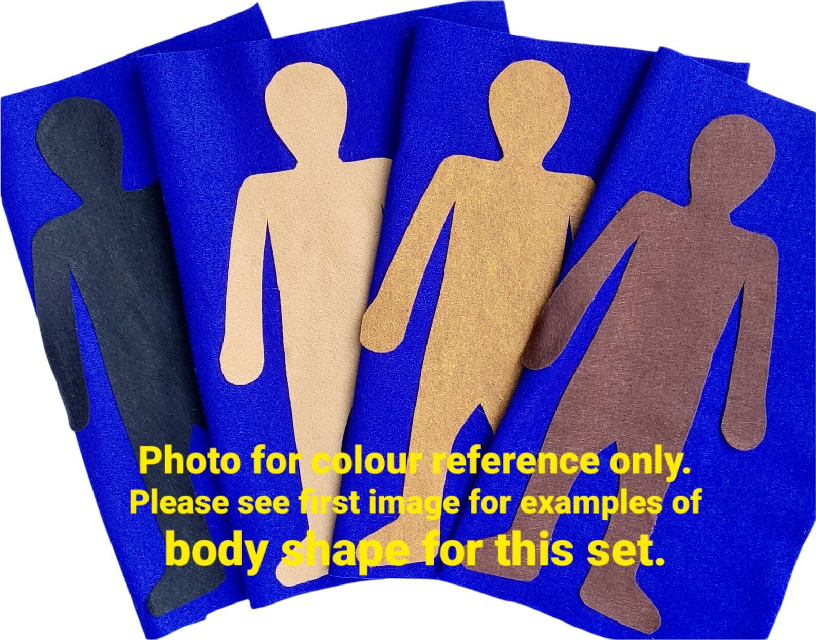 Felt Model Anatomy Set: Sensory Play, 13 Organs & Labels - Etsy Canada