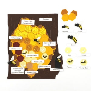 Beehive | Felt Board Set | Beehive Felt Board | Honey Bee Felt Set ...