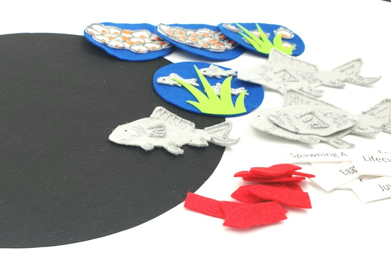 Fish Life Cycle Fish Felt Set Life Cycle Flannel Set Fish - Etsy