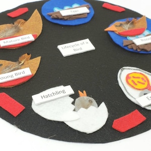 Robin Life Cycle | Robin Felt Set | Life Cycle Flannel Set | Bird Life ...