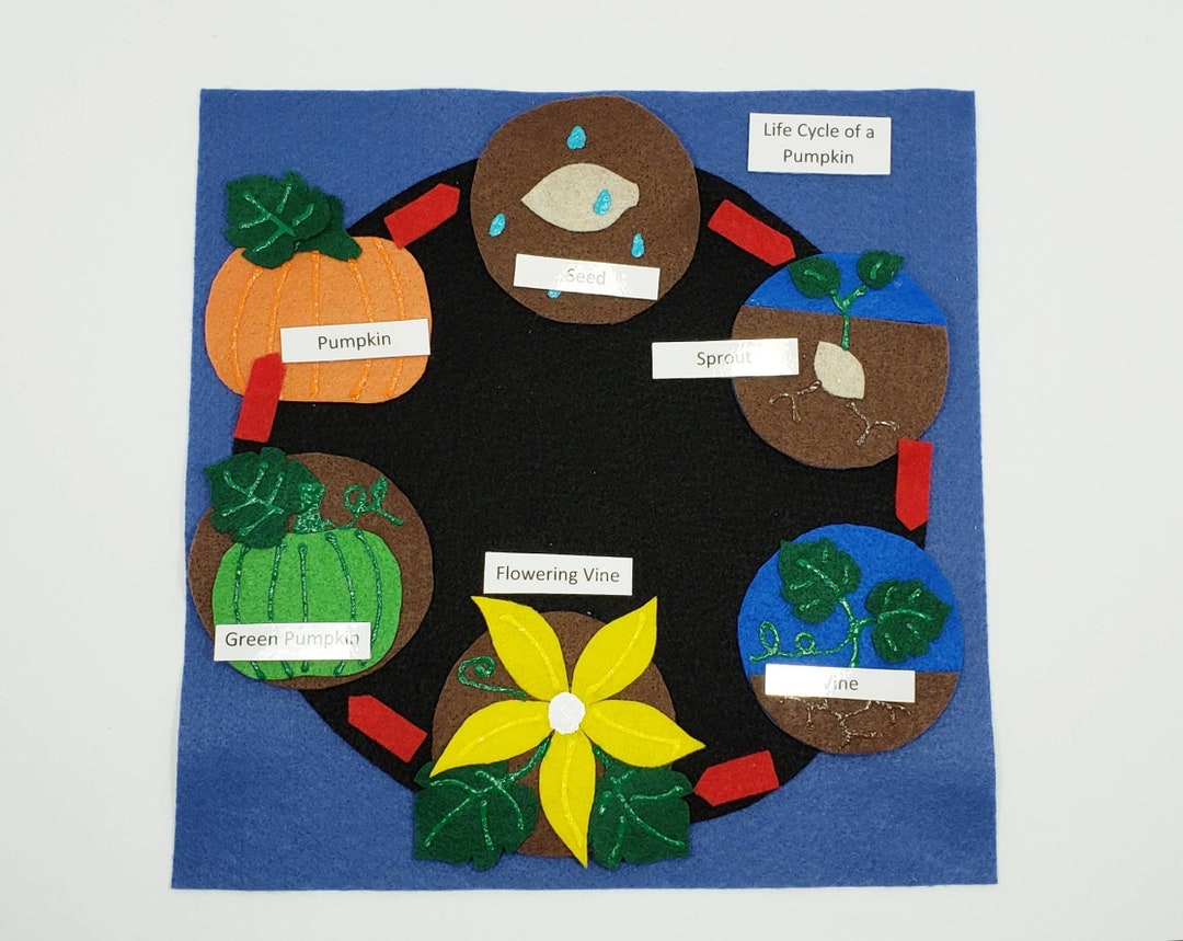 Pumpkin Life Cycle | Pumpkin Felt Set | Life Cycle Flannel Set ...
