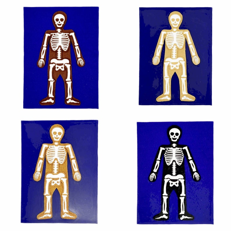 Skeleton Felt Set Bone Identification 45cm/18 - Etsy