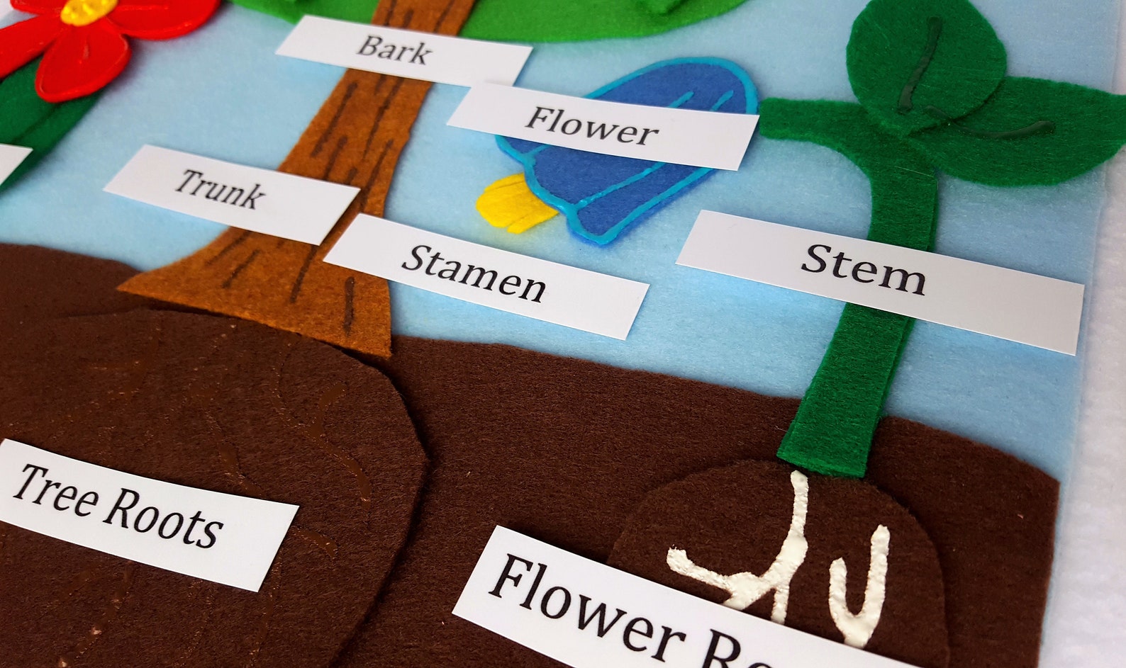 Parts of a Plant Felt Board Set with laminated labels. Daycare | Etsy
