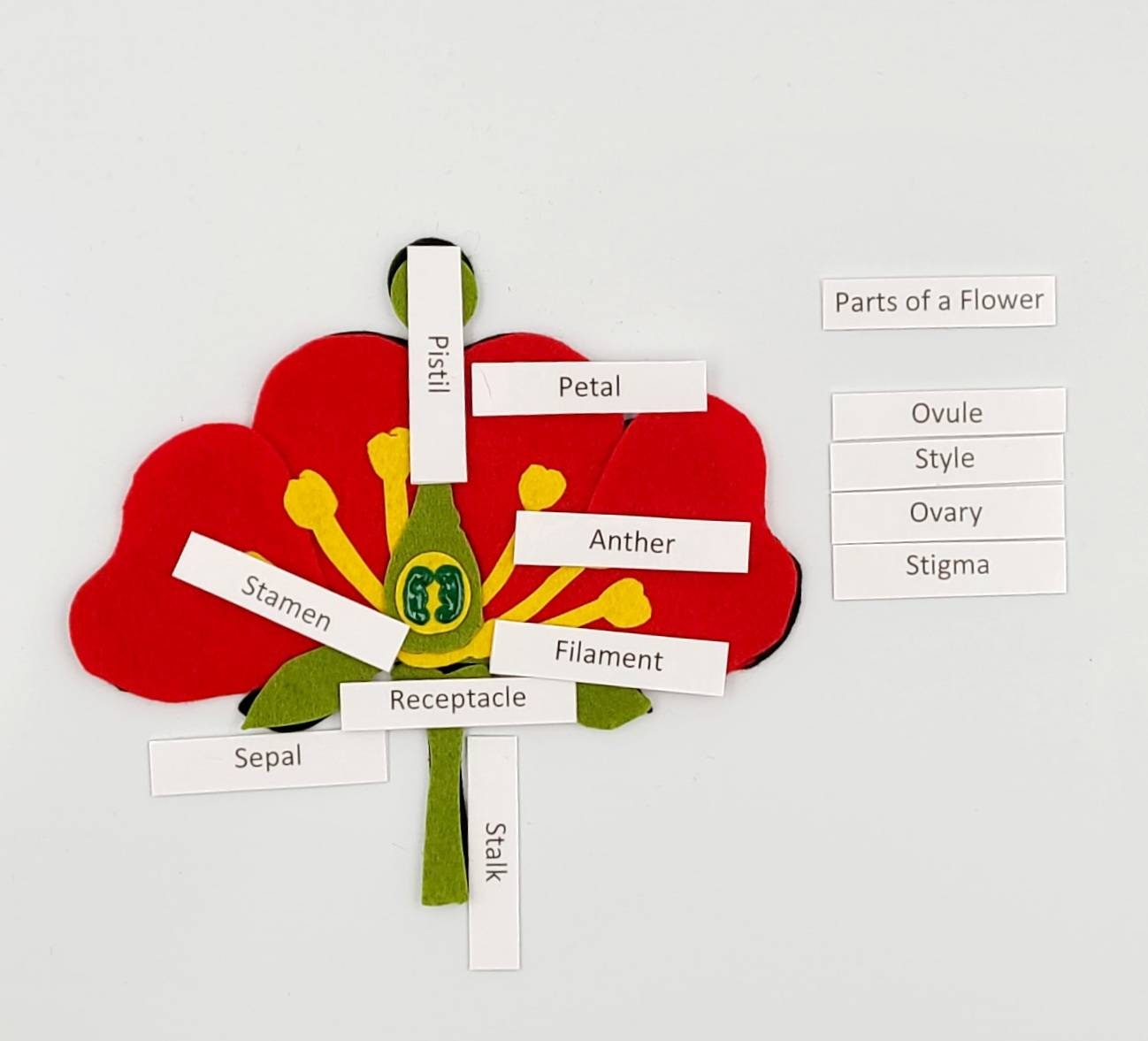 Felt Flower Puzzle Montessori Flower Anatomy Felt Set - Etsy Hong Kong