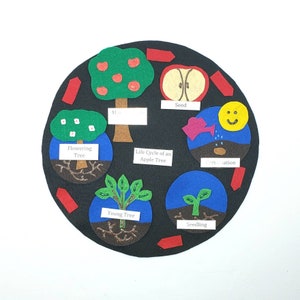 Apple Tree Life Cycle | Plant Life Cycle | Fruit Tree Felt Board | Felt ...