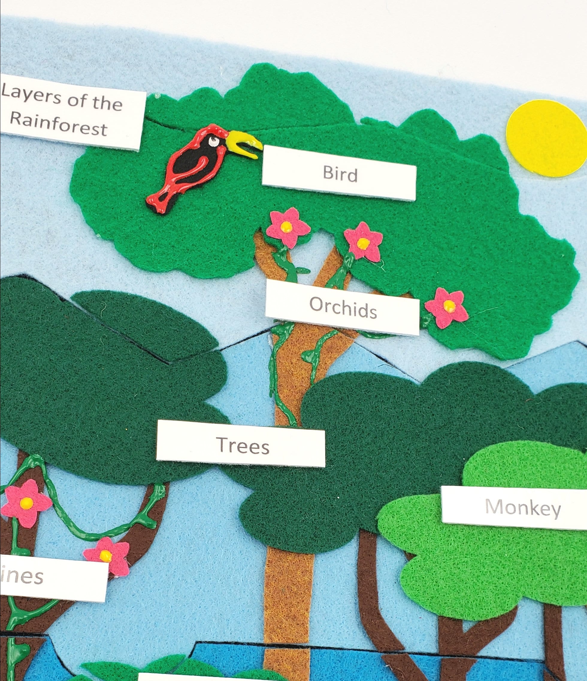 Rainforest Layers Felt Model : Homeschool Science Flannel Story - Etsy