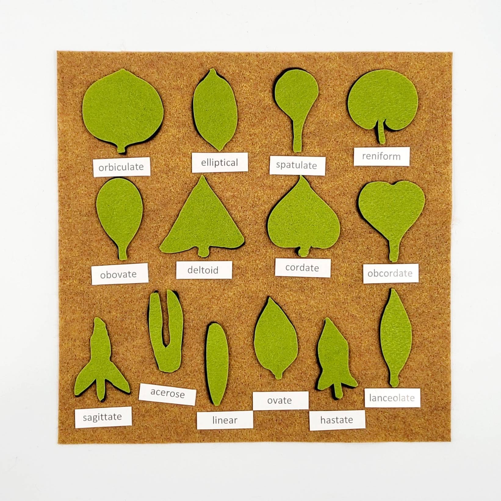 Botany felt set Montessori leaf shape classification | Etsy