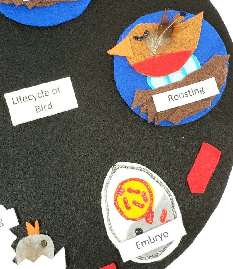 Robin Life Cycle Robin Felt Set Life Cycle Flannel Set | Etsy