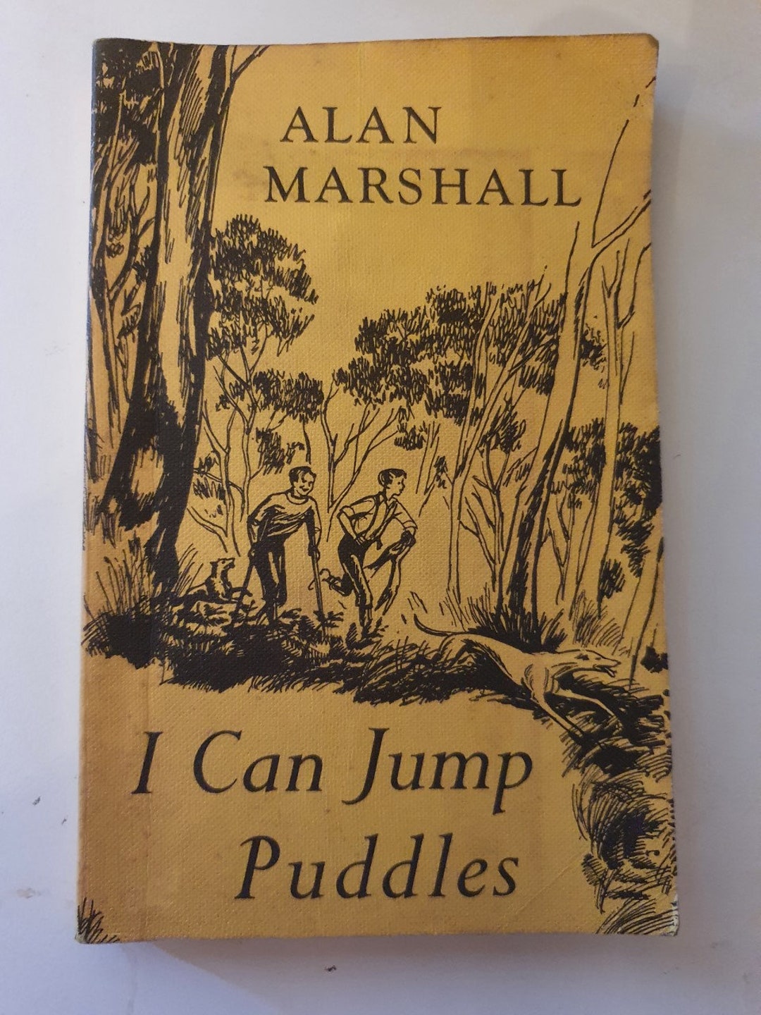 Vintage Book I Can Jump Puddles Alan Marshall 1965 YLBT10 - Etsy UK