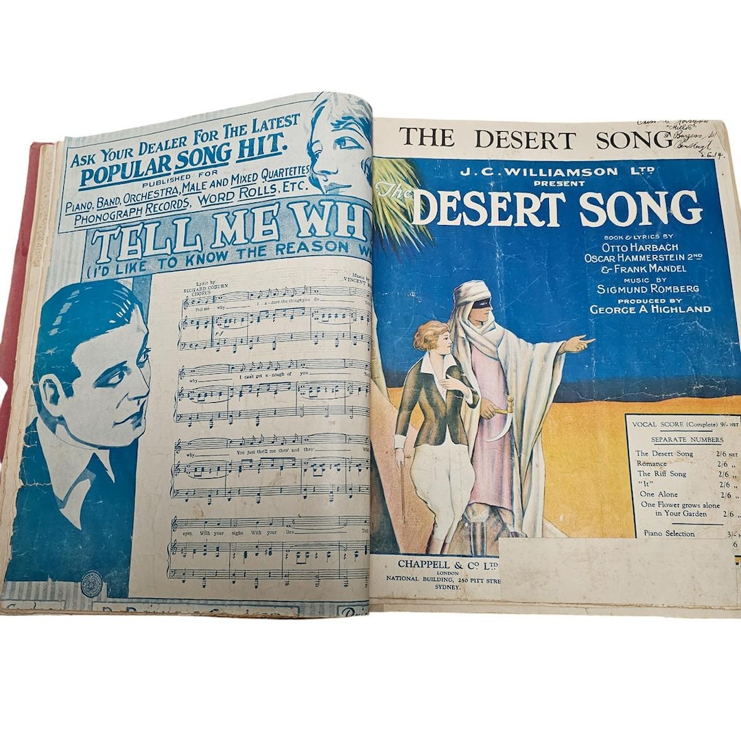 Vintage 1920s Music Book Art Deco Piano Sheet Music Antique Songs ...