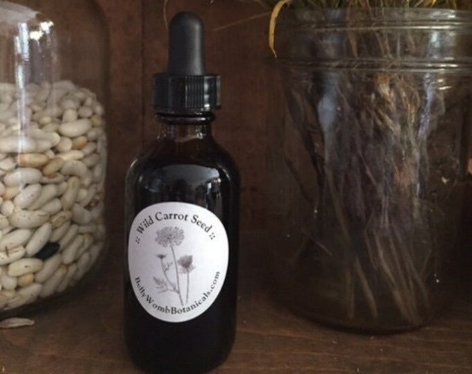 Queen Anne's Lace // Wild Carrot Seed daucus Carota Tincture ...