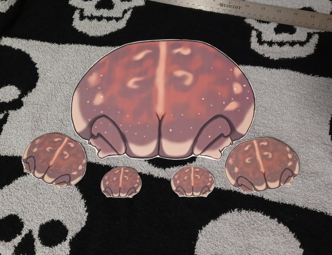 Rain Frog Buttcheeks Sticker, Frog Stickers, Cute Frog, Rain Frogs, Herpetology Stickers ...