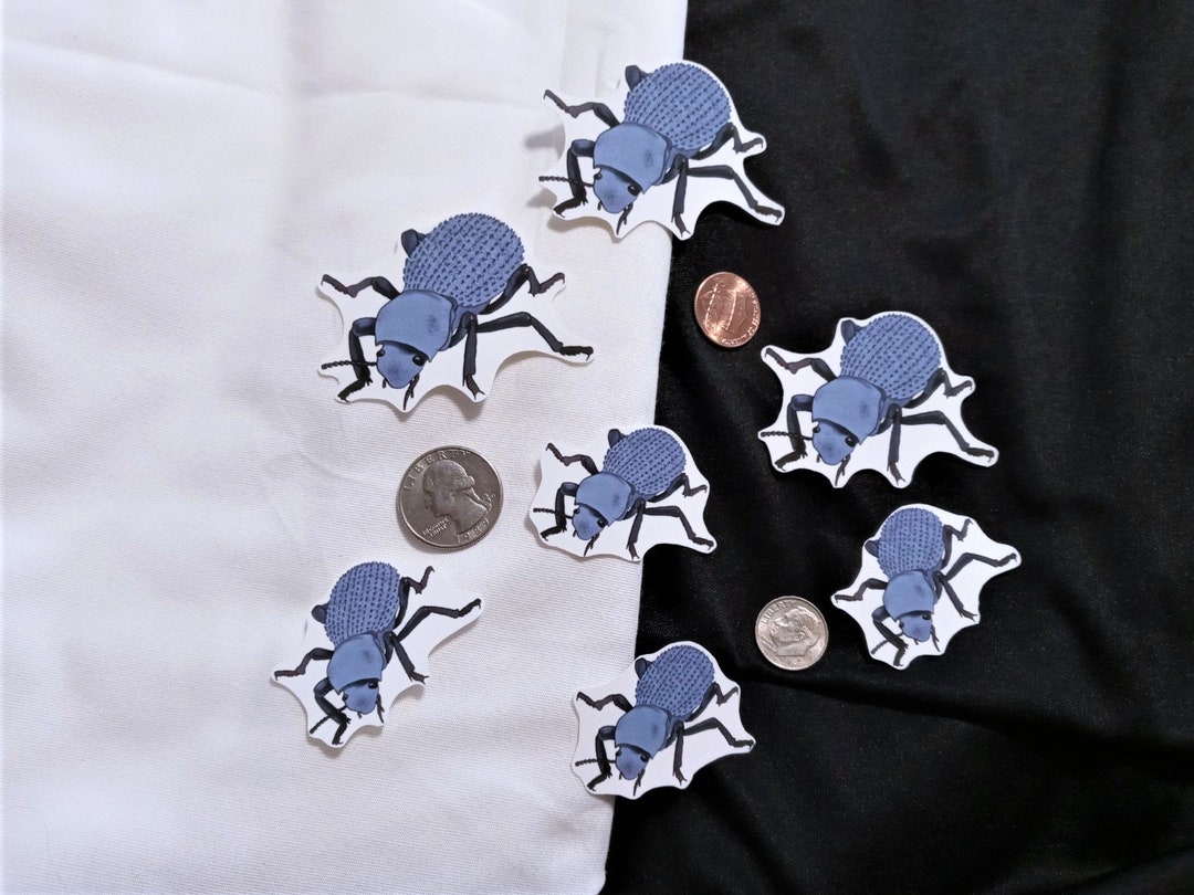 Blue Death Feigning Beetle Stickers, Entomology Stickers, Darkling ...
