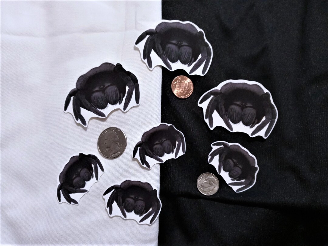 Velvet Spider Stickers, Ladybird Spider Stickers, Entomology Stickers ...