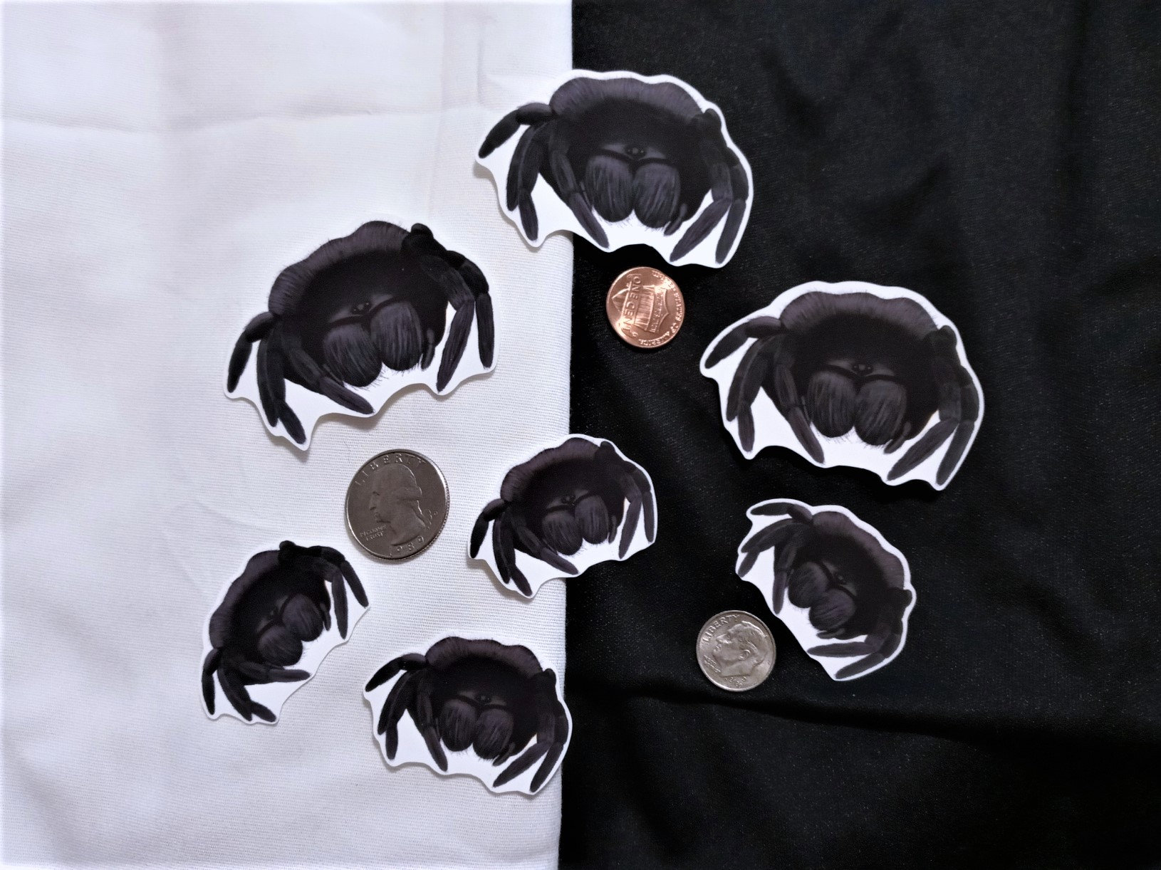 Velvet Spider Stickers, Ladybird Spider Stickers, Entomology Stickers ...