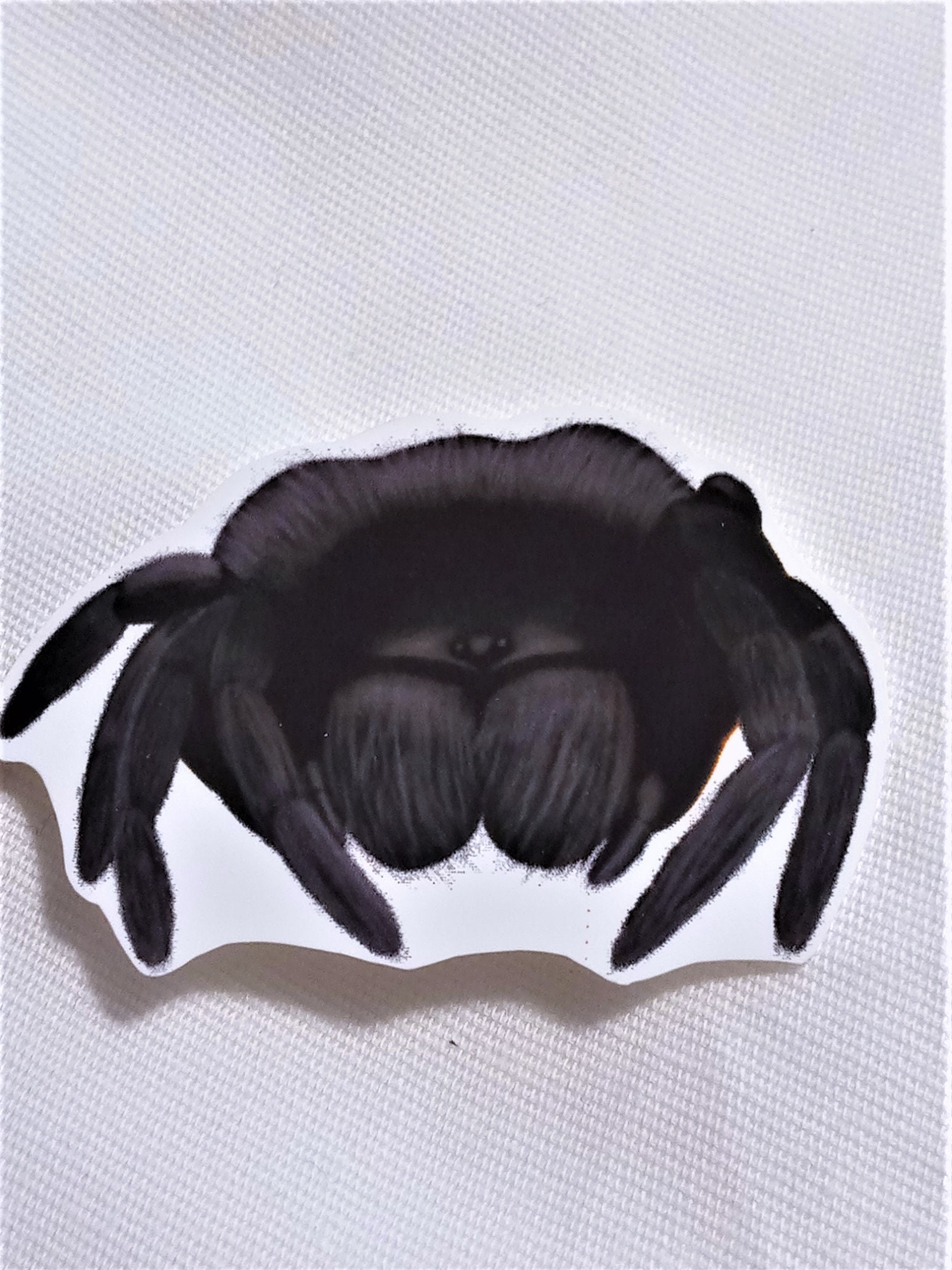 Velvet Spider Stickers, Ladybird Spider Stickers, Entomology Stickers ...