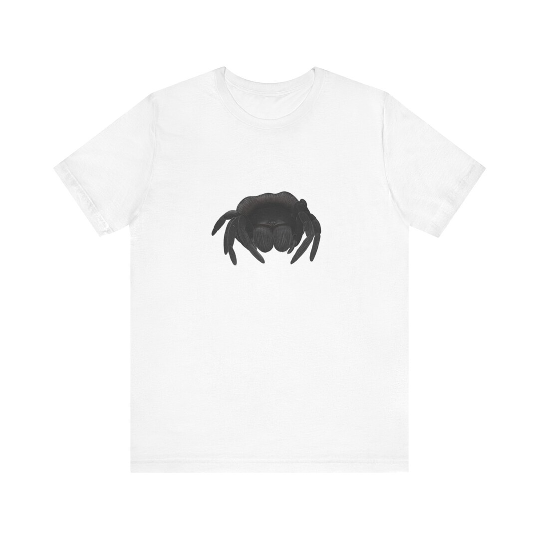 Velvet Spider Tshirt, Ladybird Spider Shirt, Entomology Shirts, Spider ...